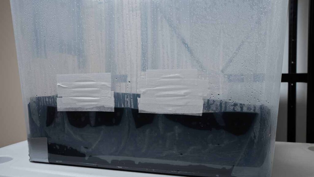 How to grow magic mushrooms in a monotub | Acid Shroomz